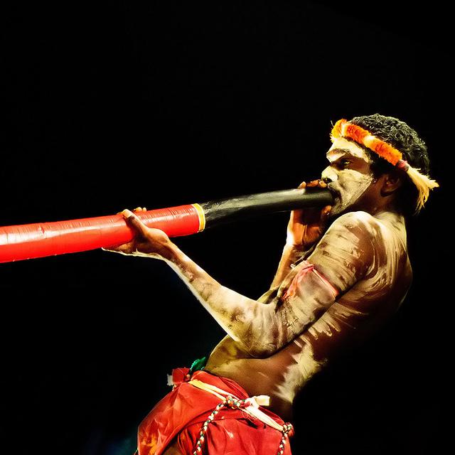 Définition | Faune de l’Édiacarien : qu'est-ce que c'est ? | Futura planète