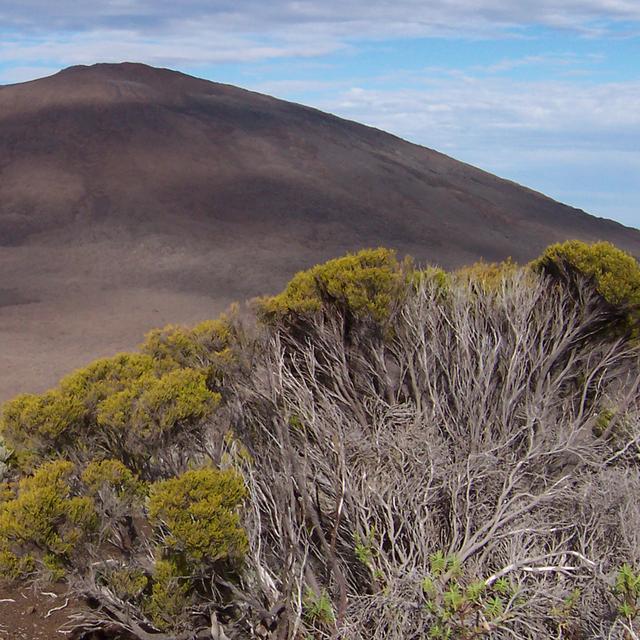 Piton de la Fournaise : pourquoi ce géant de lave reste étonnamment sûr