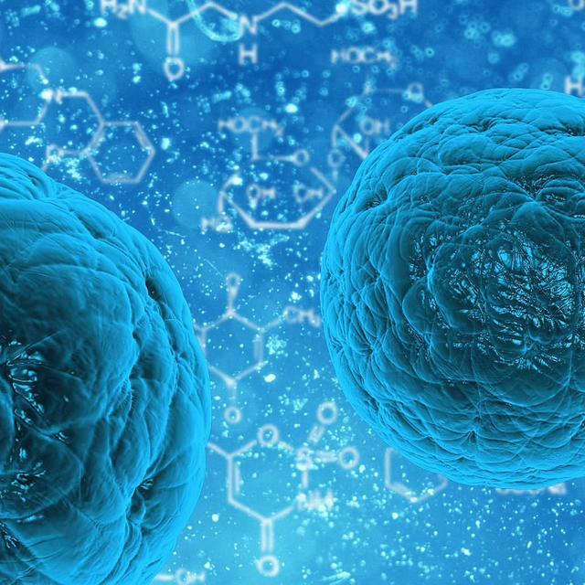 Cancer du pancréas : un nouvel espoir grâce à une avancée scientifique ...