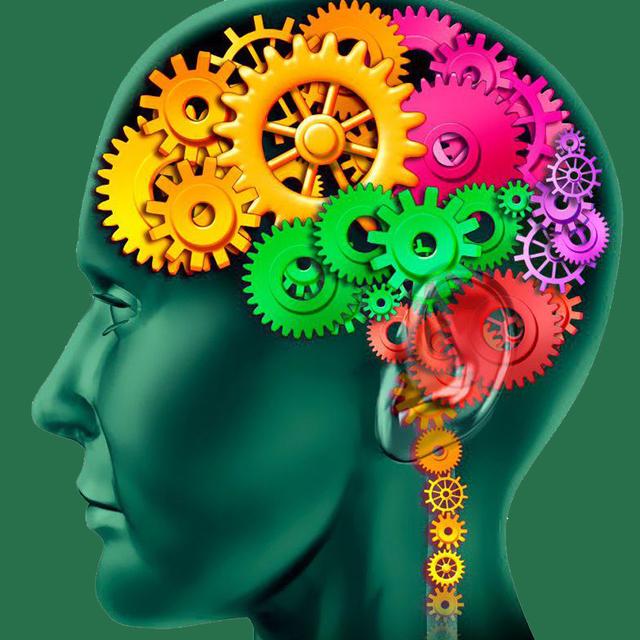 Définition | Mémoire cache : qu'est-ce que c'est ? | Futura tech