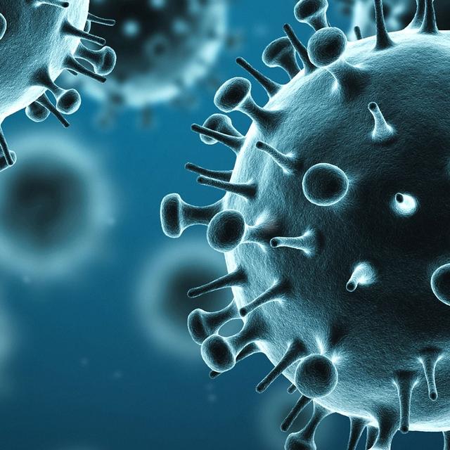 1892 : la découverte des virus