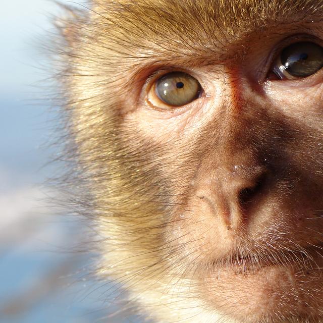 Samsung dans la tourmente : des smartphones cachent une appli ...