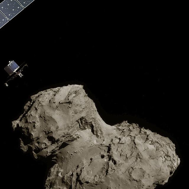À ne pas rater : un double passage de comètes près de la Terre et ...