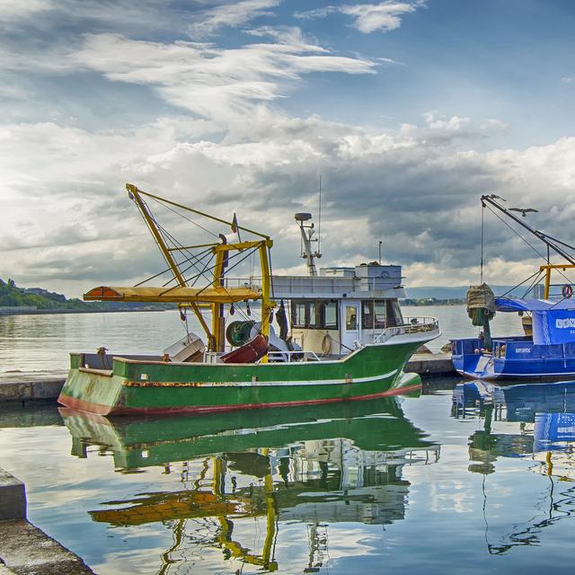 Définition | Barbillon : qu'est-ce que c'est ? | Futura planète