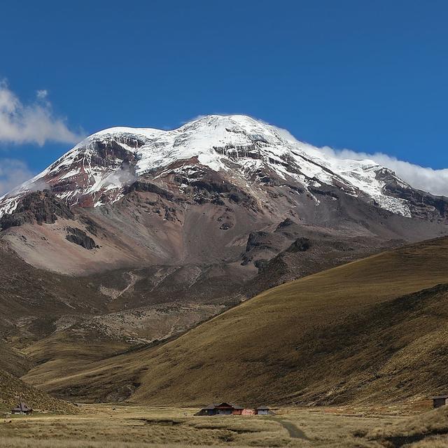 Quelle est la différence entre rainette et grenouille