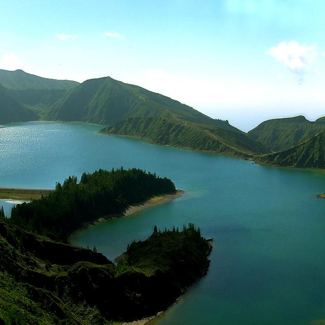 L'extinction massive du Dévonien due à un manque d'oxygène