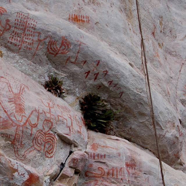 Pourquoi un serpent géant est-il gravé le long de l’Orinoco