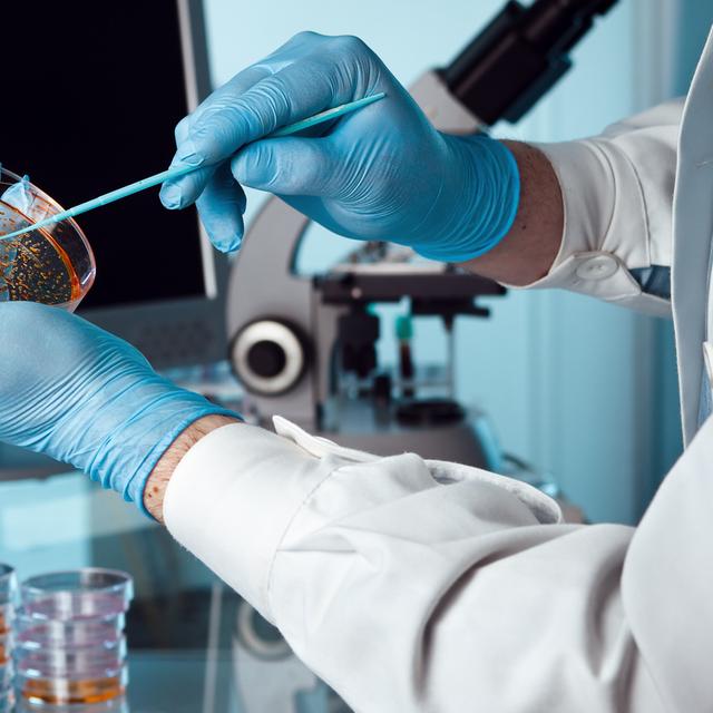 Définition | Requête : qu'est-ce que c'est ? | Futura tech