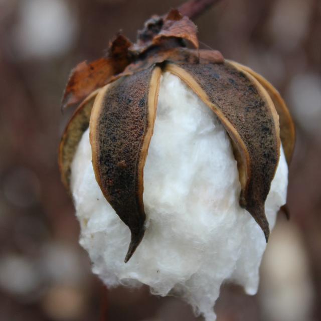 Voici les marques de mode qui se fichent le plus de la Planète, selon ...