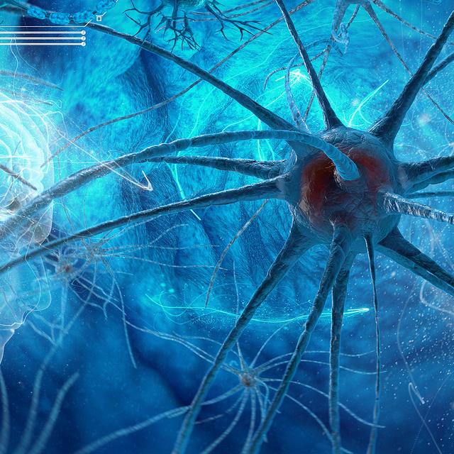 Comment lire et comprendre un bilan sanguin