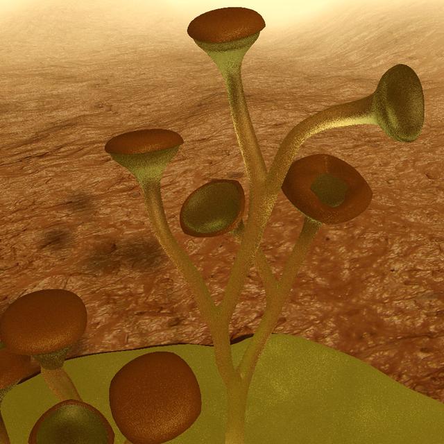 L'extinction massive du Dévonien due à un manque d'oxygène