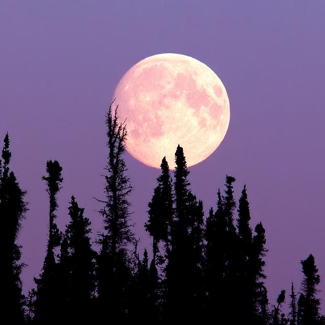 Définition | Carte Du Ciel : qu'est-ce que c'est ? | Futura tech