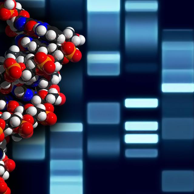 Définition | Mutant : qu'est-ce que c'est ? | Futura santé