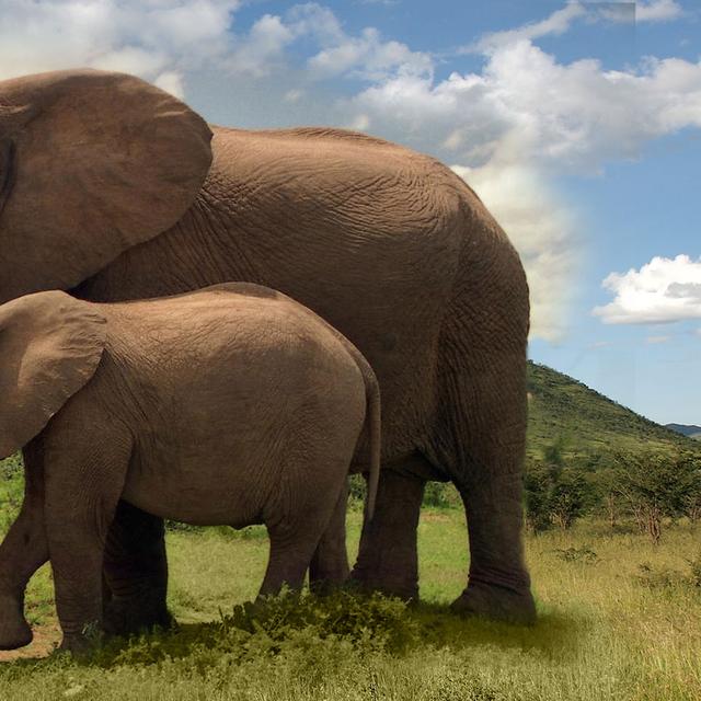 1 000 milliards de tonnes d’eau se sont envolées : l’assèchement de ...