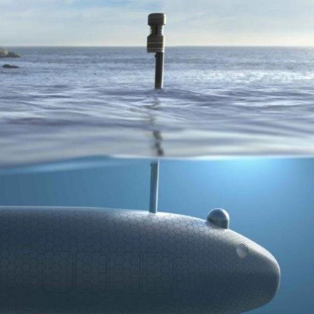 Ce drone « parasite » sous-marin est redoutable : il voyage, espionne ...