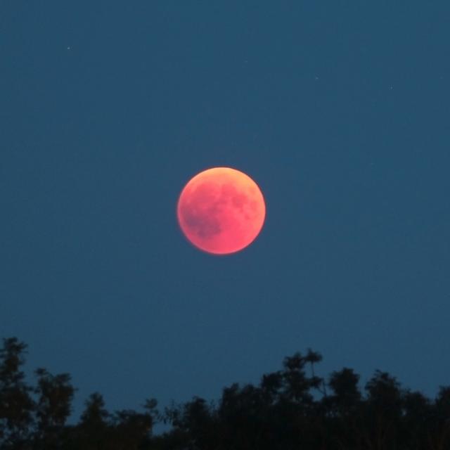 La Lune en rapprochement avec Spica