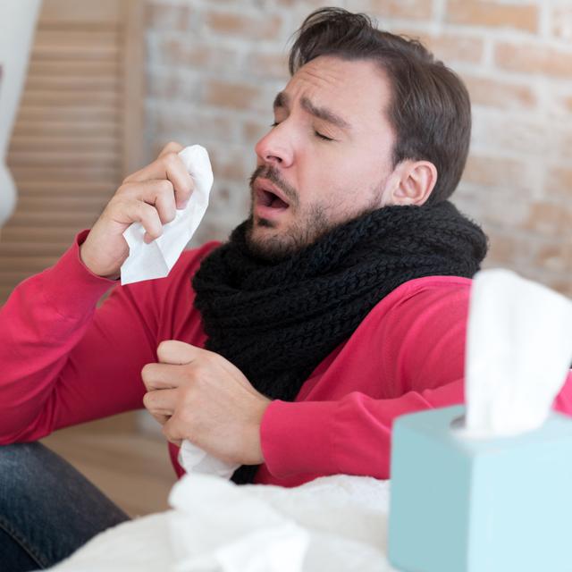 Surprenant : Sinopoda scurion, l'araignée sans yeux du Laos