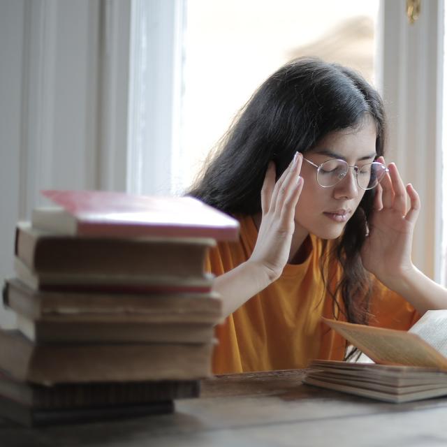 Quelle est la différence entre rainette et grenouille