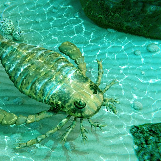 Tous les arthropodes sur Terre pèsent plus que les humains et le bétail