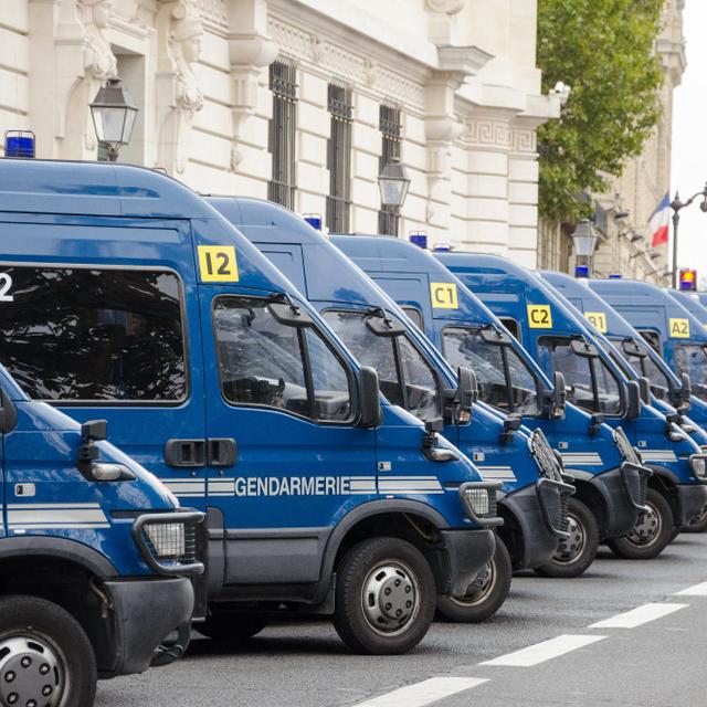 Voici les causes de la disparition des rhinocéros laineux il y a 10 000 ans