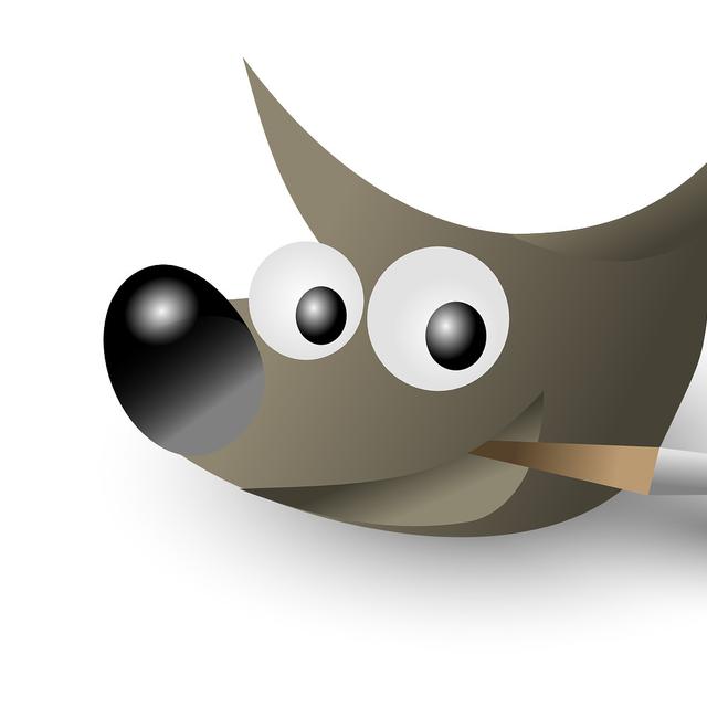 Comment créer un GIF animé facilement avec Giphy