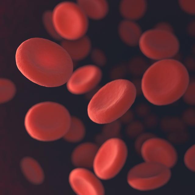 Définition | Glycocalyx : qu'est-ce que c'est ? | Futura santé