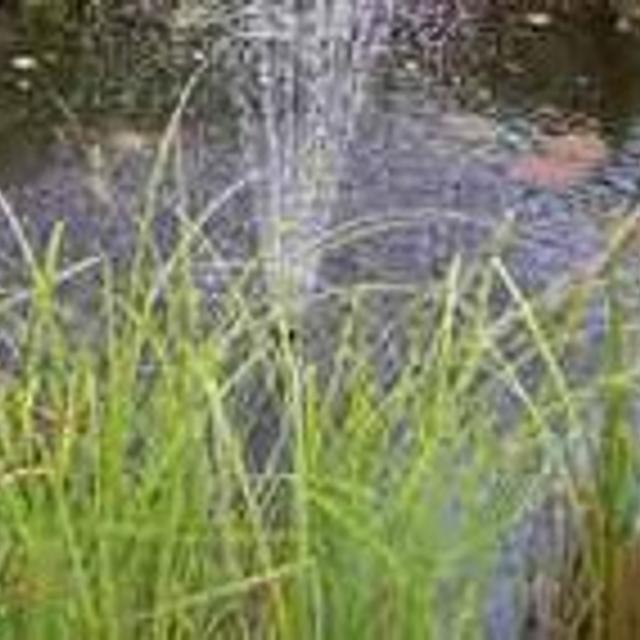 Définition | Matières azotées : qu'est-ce que c'est ? | Futura santé