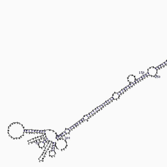 Définition | MicroARN : qu'est-ce que c'est ? | Futura santé