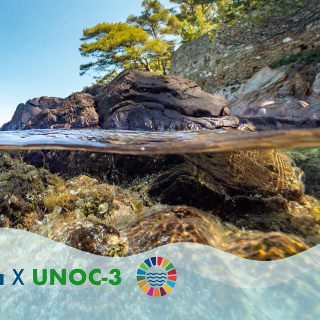 Pourquoi faut-il réensauvager la France