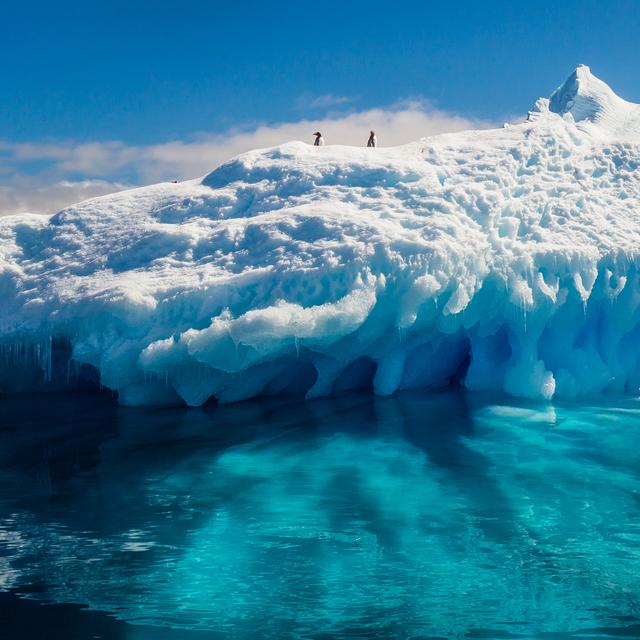 Le plus grand iceberg du monde est en train de disparaître… et ce que l ...