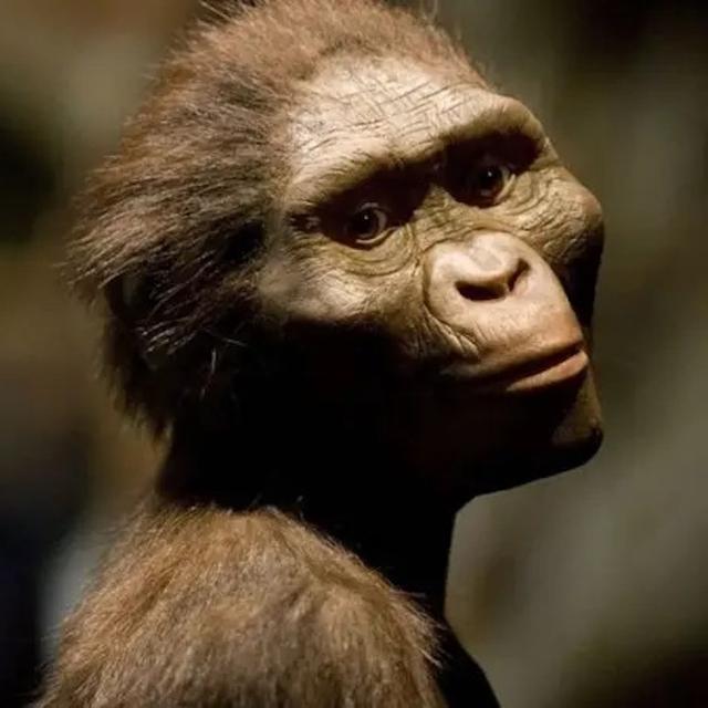 Sa découverte a tout changé : ce que Lucy nous cache encore sur l ...