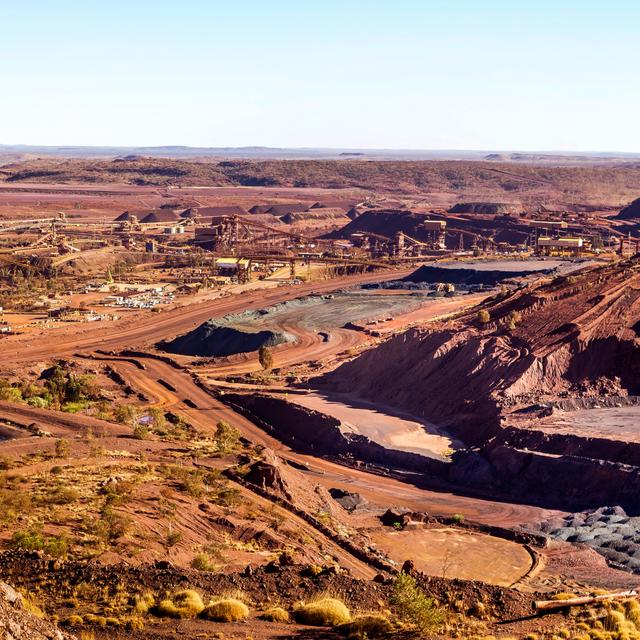 Il y a 50 000 ans, l’Australie était peuplée d’étranges oies géantes
