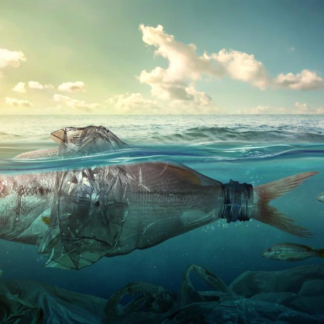 On sait de quels pays proviennent les déchets de plastique qui polluent ...