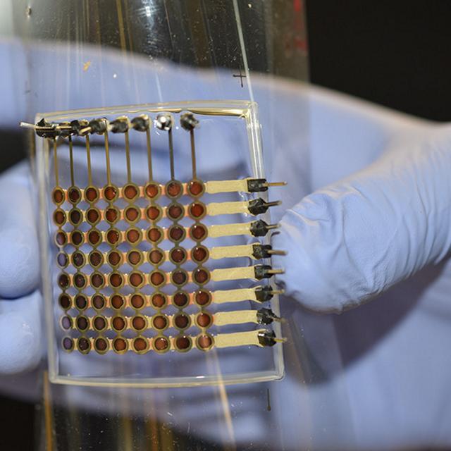 Quelle est la différence entre les écrans Amoled et LCD