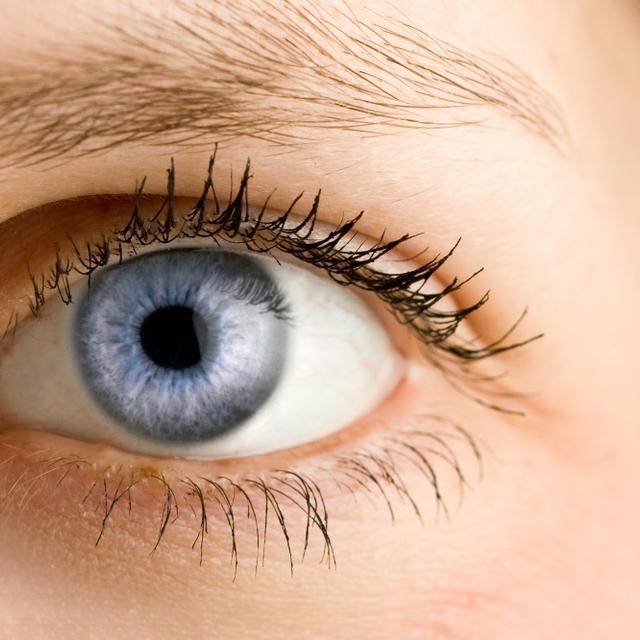 Travailler sur écran sans se fatiguer les yeux