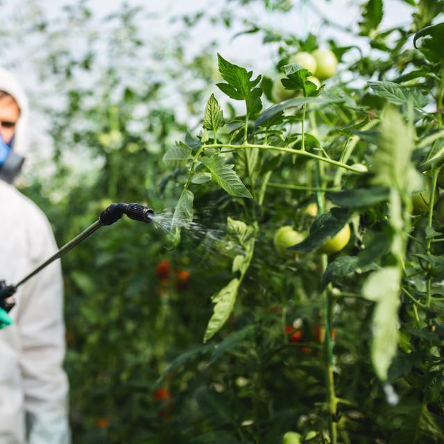L'usage des pesticides en France a explosé ces 10 dernières années