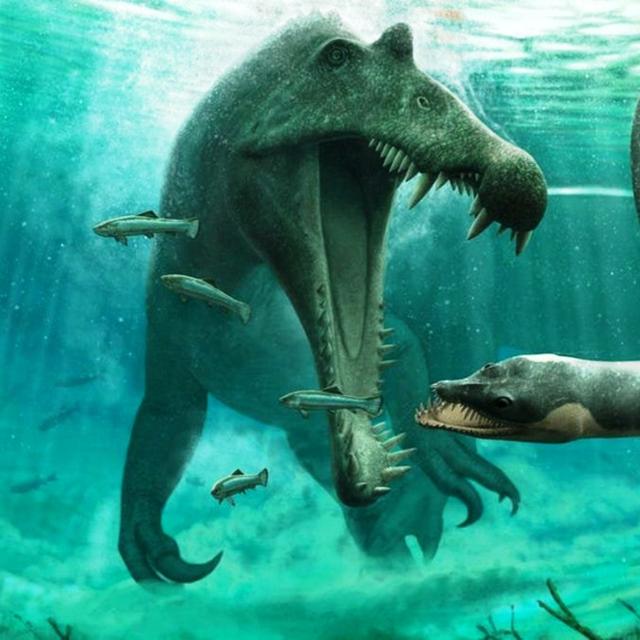 Ce fossile cachait un « dragon des mers » jamais vu auparavant