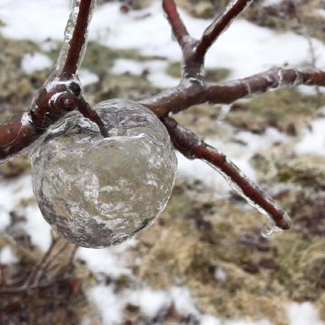Définition | Verglas : qu'est-ce que c'est ? | Futura planète