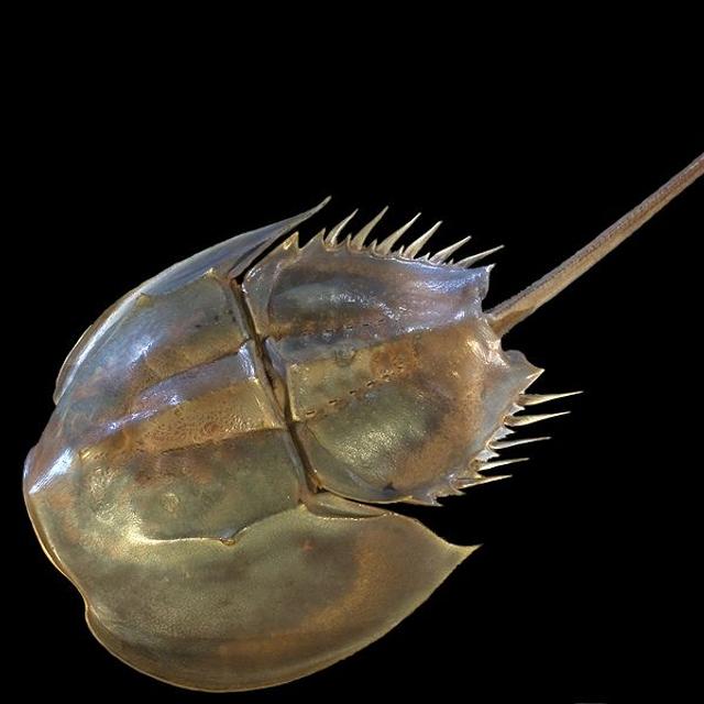 Phénomène météo extraordinaire : le ciel rouge sang