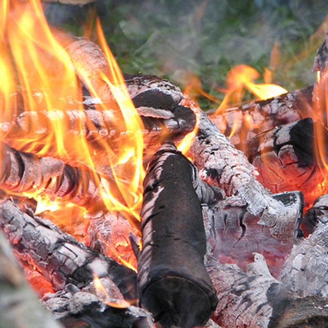 Quels sont les meilleurs poêles à bois scandinaves
