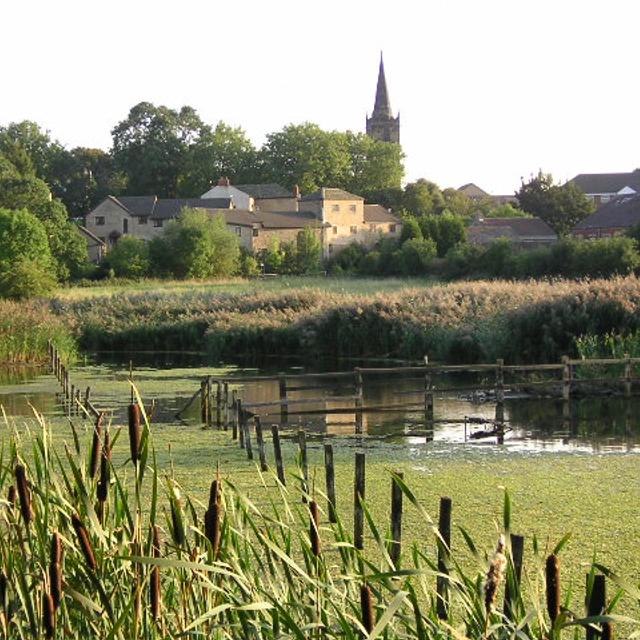 Définition | Poldérisation : qu'est-ce que c'est ? | Futura planète