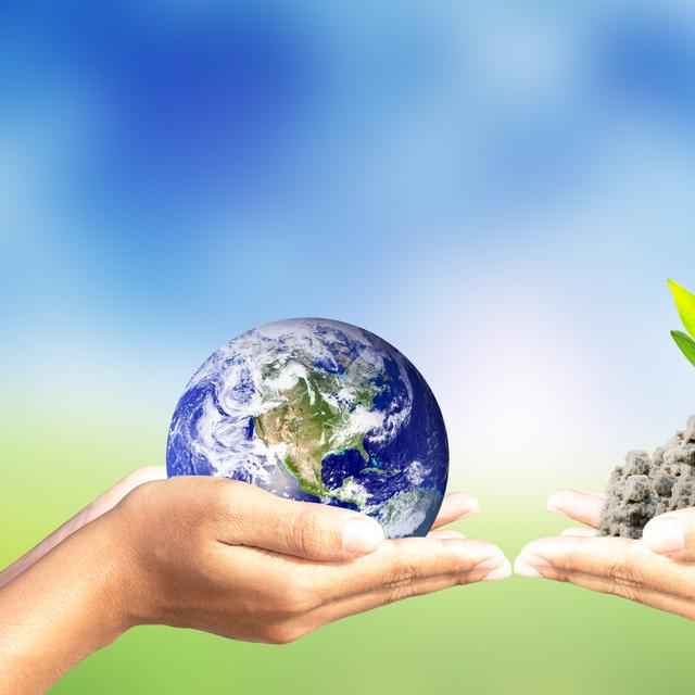 Définition | Macle : qu'est-ce que c'est ? | Futura planète