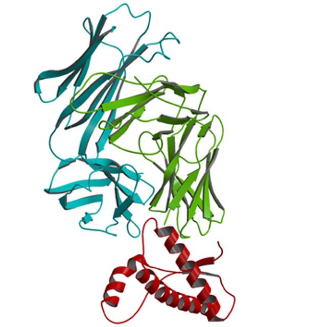 Qu'est-ce qu'un prion et comment agit-il