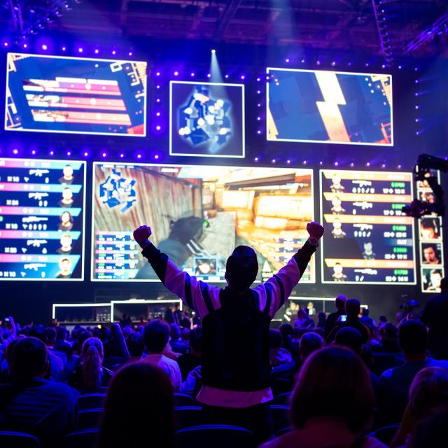 Définition | Circuit de la récompense : qu'est-ce que c'est ? | Futura ...