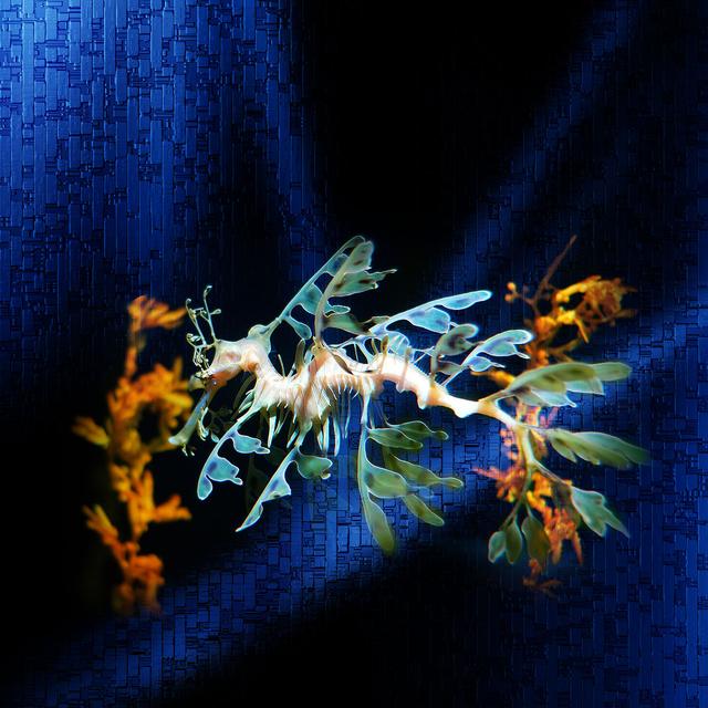 Néon bleu