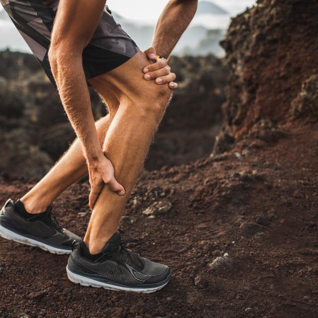 Définition | Muscle soléaire : qu'est-ce que c'est ? | Futura santé