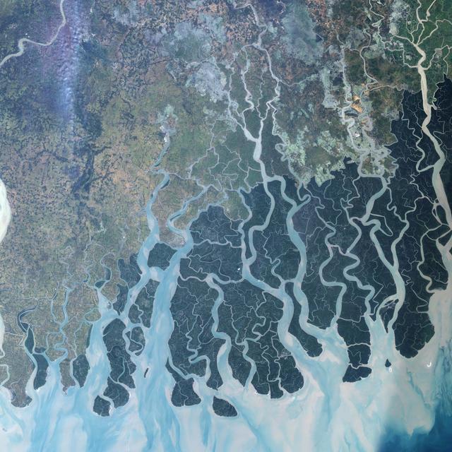 Définition | Delta : qu'est-ce que c'est ? | Futura planète