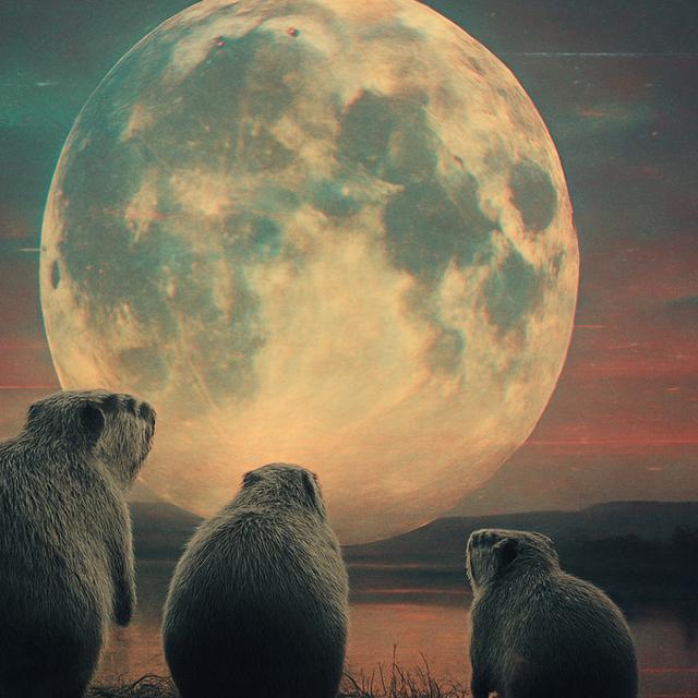 La Lune en rapprochement avec Mercure, Jupiter, Pollux et Castor