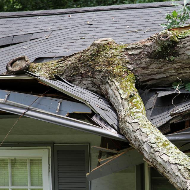Attention, la tempête Goretti va frapper la France entre jeudi et ...
