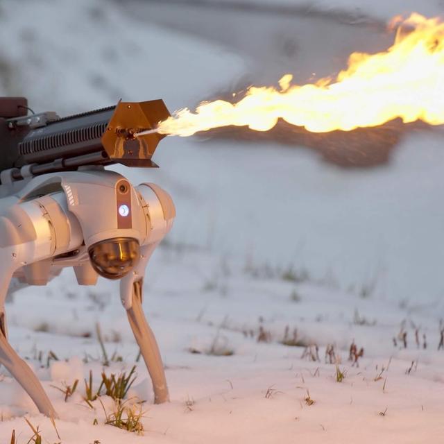 Regardez-le sauter : ce robot bipède qui rappelle Star Wars est en ...